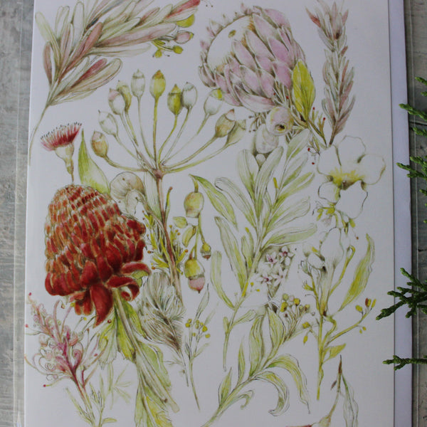 Anna Pignataro Card Australian Native Flowers – Tribe Castlemaine