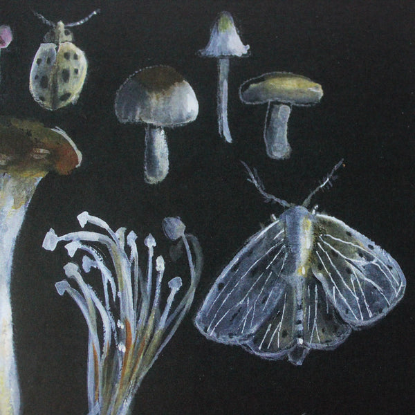 Anna Pignataro Card Moth & Mushroom – Tribe Castlemaine
