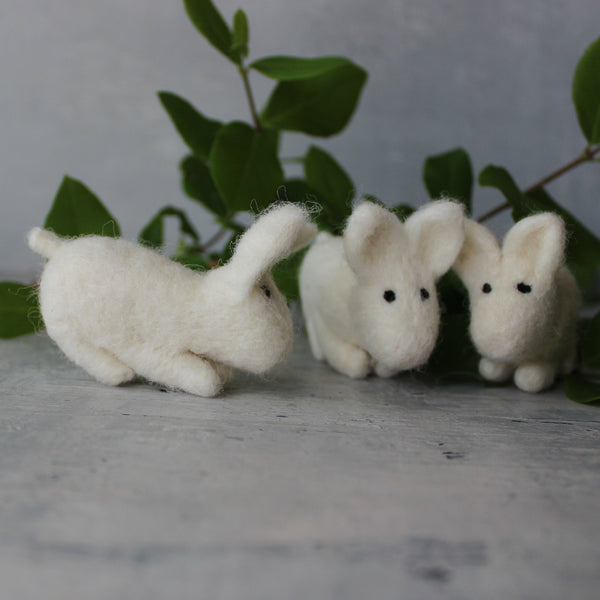 Little White Rabbits – Tribe Castlemaine