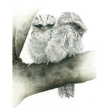 Matteo Grilli Card 'Tawny Frogmouth Chicks' – Tribe Castlemaine