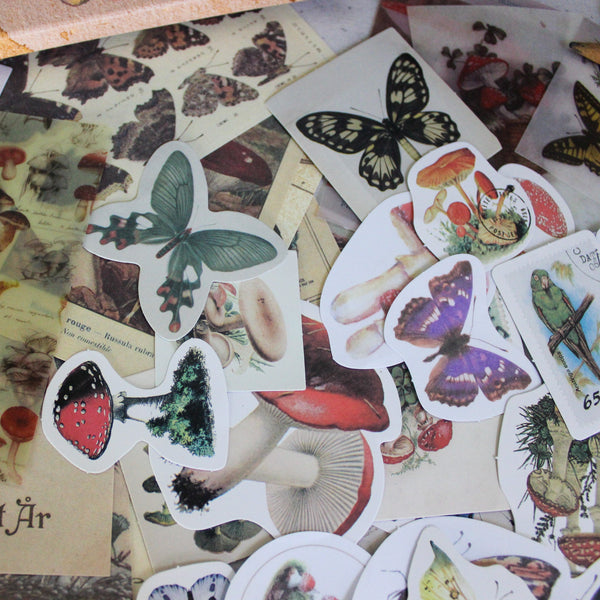 Boxed Papercraft Packs – Tribe Castlemaine