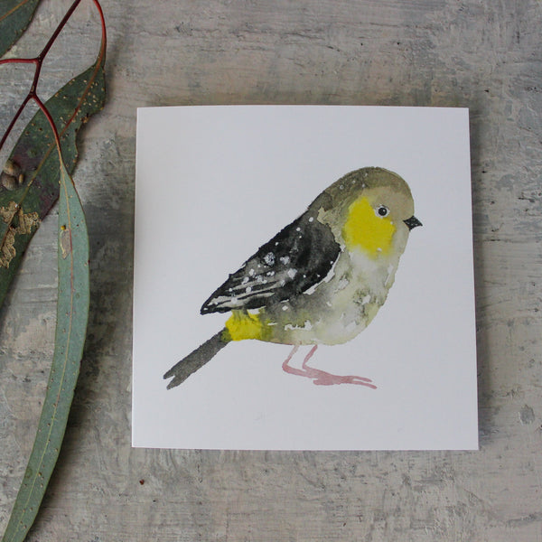 Jess Racklyeft Card Bush Wren Yellow – Tribe Castlemaine