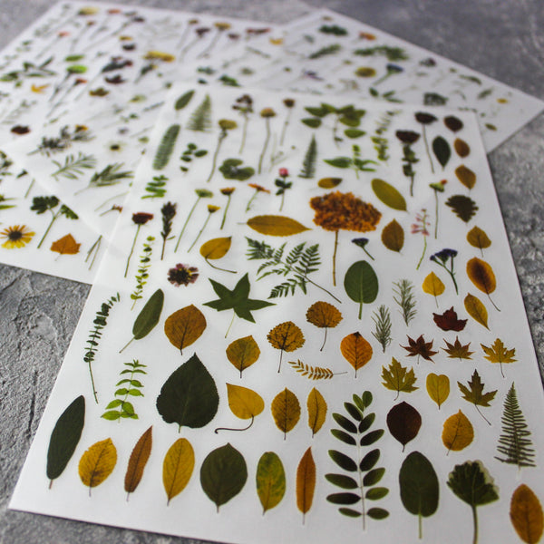 Rub-on Nature Transfers – Tribe Castlemaine