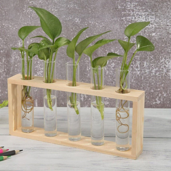 Test Tube Propagation Frames – Tribe Castlemaine